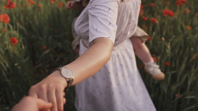 4811929-hd_1920_1080_30fps