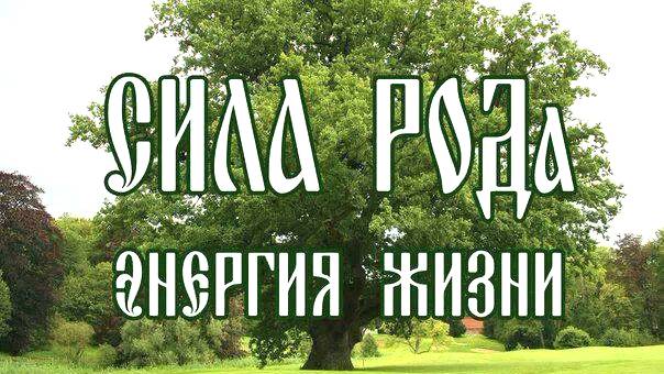 "Сила рода" - стихи Евгении Пашиной, видео Татьяны Трубеевой