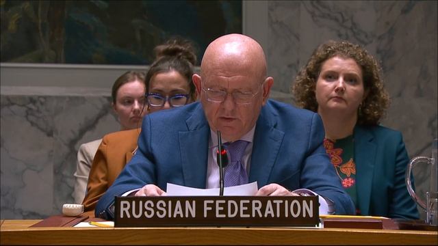 Василий Небензя. Выступление в СБ ООН в связи с инцидентом в воздушном пространстве Польши.