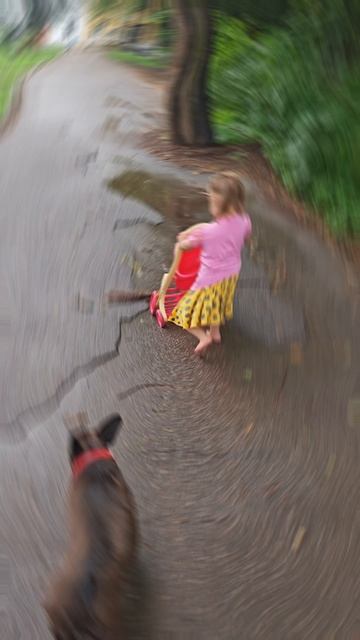 Один день лета. 15 июля 2025