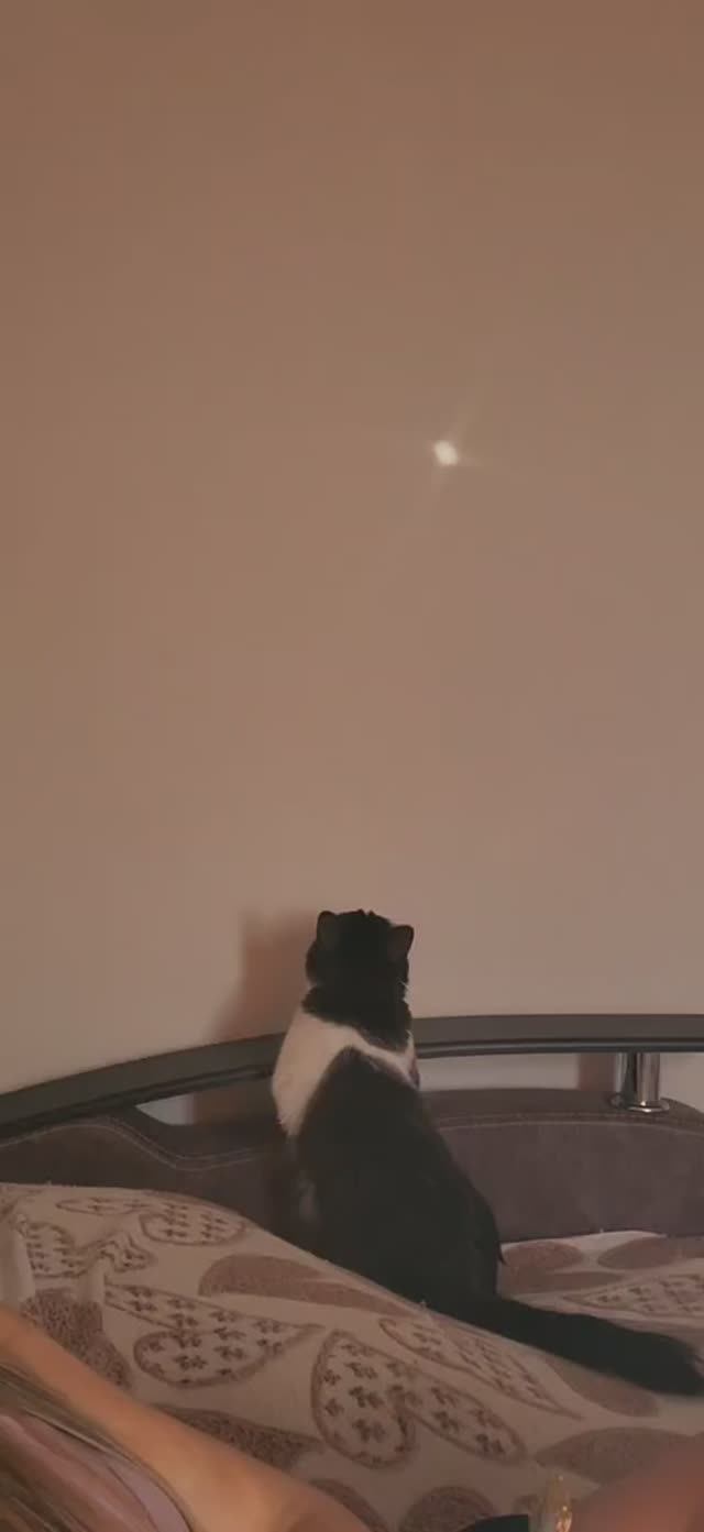 Призываем магию