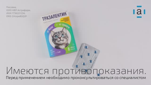 Распаковка Тразапентин для кошек до 4 кг.