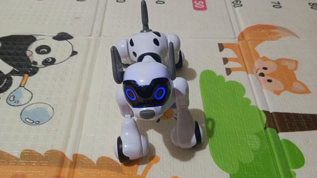Робот-собака