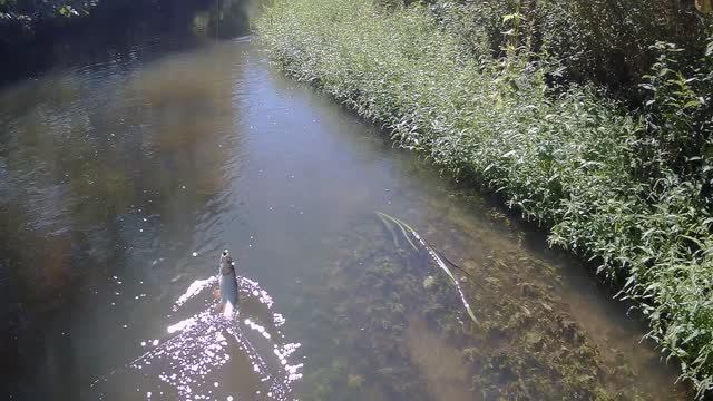 РЫБАЛКА ОСЕНЬЮ!!! ГОЛАВЛЬ на СПИННИНГ!!!