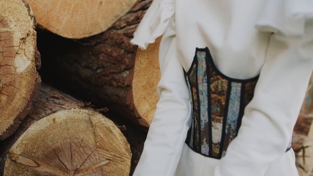 5583791-uhd_4096_2160_25fps