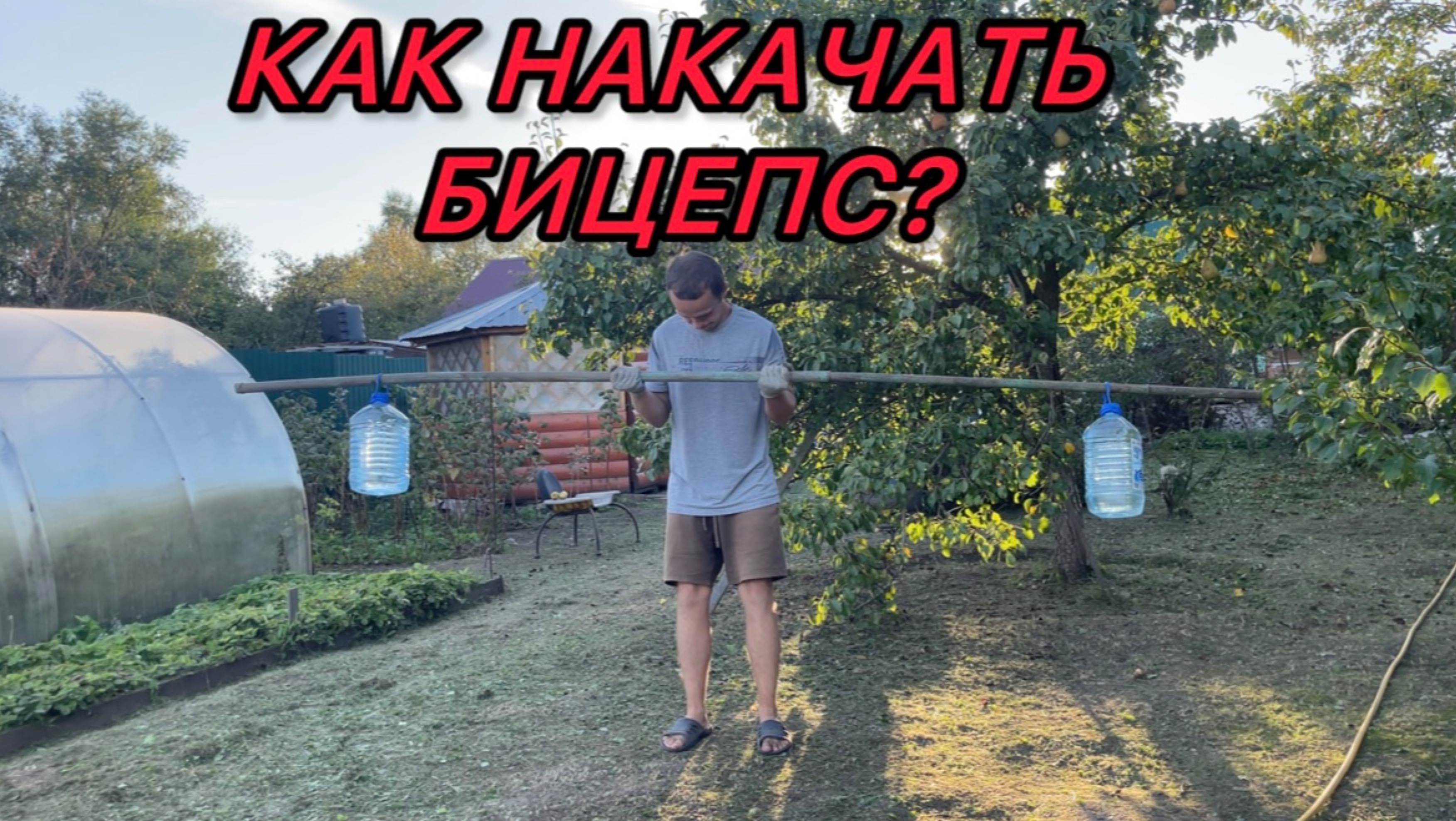 КАК НАКАЧАТЬ БИЦЕПСЫ?