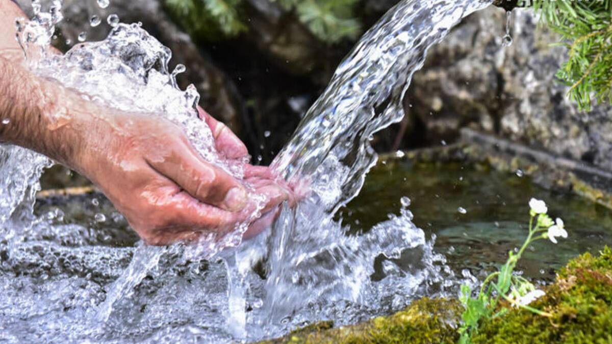 Поиск родника. СНТ Медик Геленджик