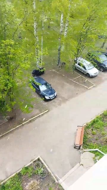 shortsСюрпризы Мая shorts