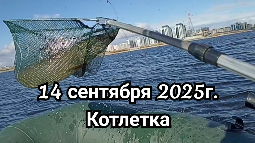 14 сентября 2025г. Котлетка