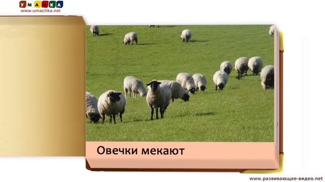 Как говорят животные (2 часть ) - Звуки животных - Для детей