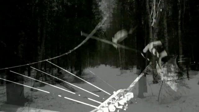 Рождение лодки однодеревки. Лодкаструн. 2016. Синтетический проект Александра Леонова