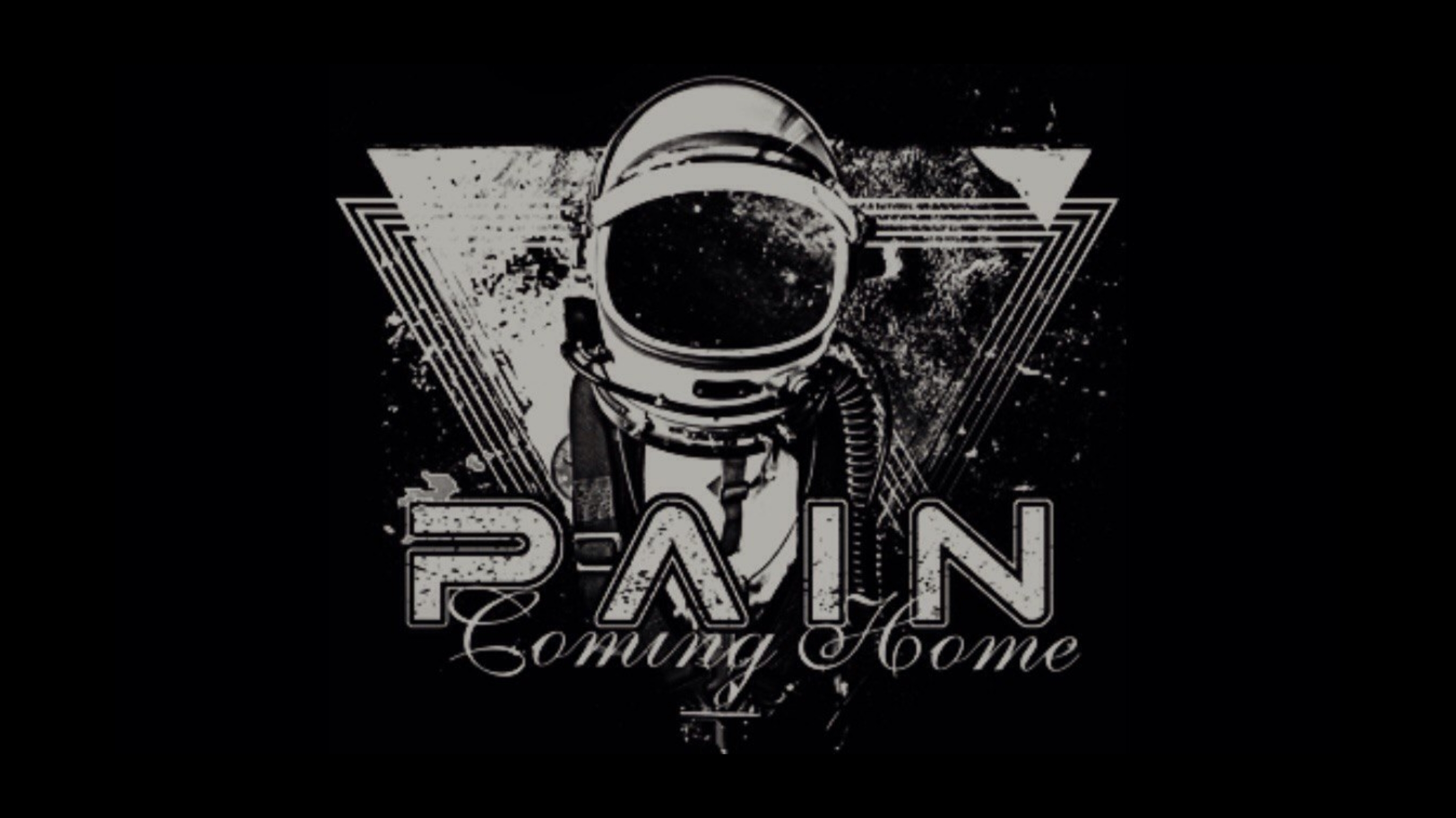 PAIN - Natural Born Idiot(Instrumental Cover)