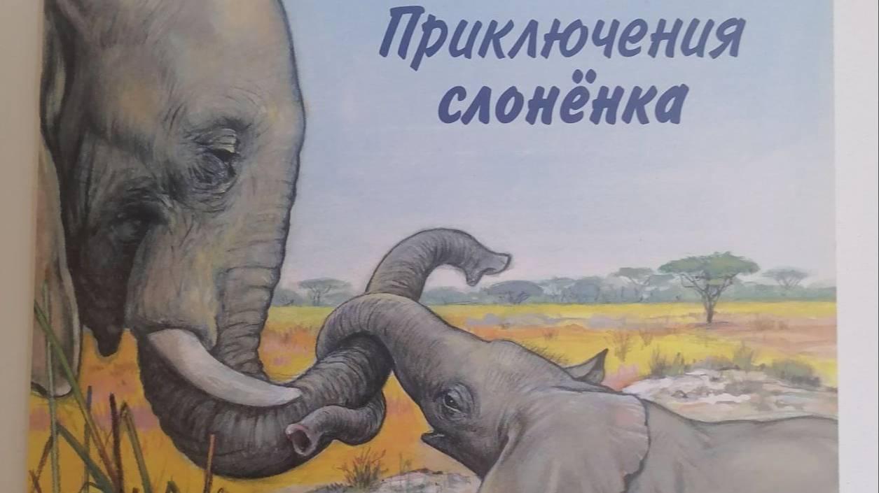Приключения слонёнка. Громкие чтения