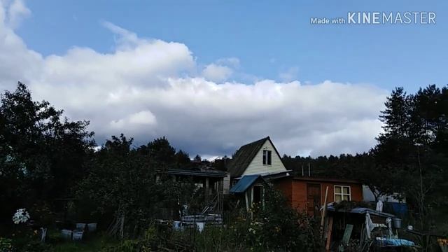 21-2019 НОВЫЙ фундамент! Собрала СЛИВЫ! Алиса загорает! _ Elena Pero