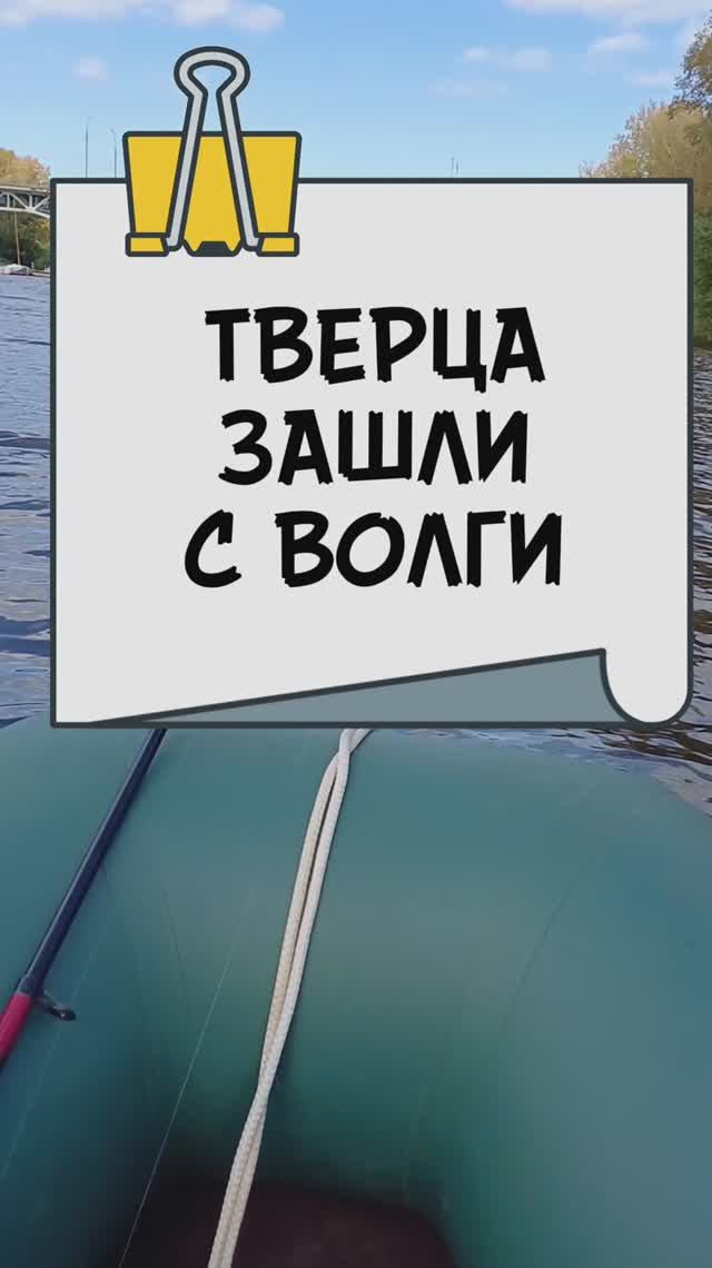 Тверца, зашли с Волги. Лето цвета неба 💯👍