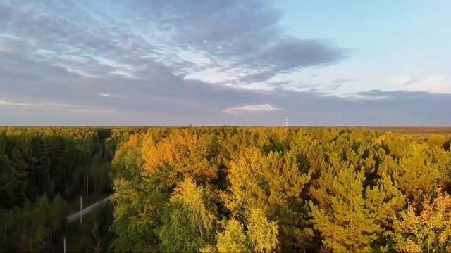 Середина Сентября