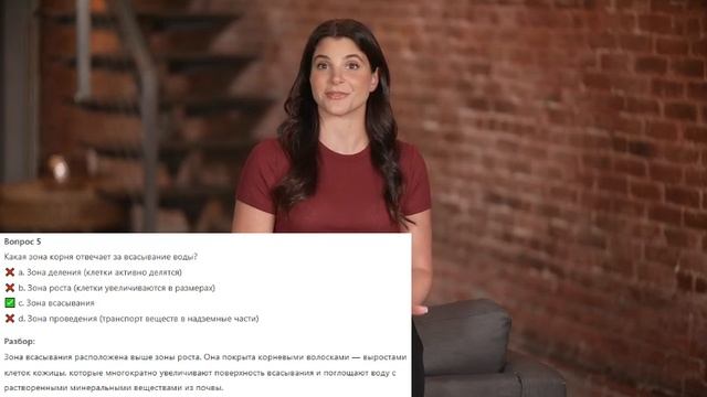 Биология 6 класс. Урок 3. Тест 1. Ткани и органы растений. Подготовка к ВПР, бесплатно. Sdavalka.ru