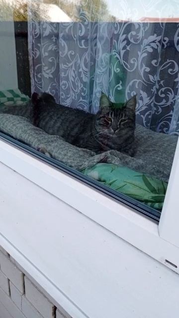 Глубокой осенью Все было ровно год назад, По городу бродил я одиноко,Но вдруг в один приют был взят