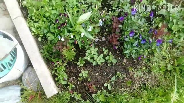 24-2020 Нашли Интересную ШТУКОВИНУ _Итог со Шкафом _ Душно и Много Комаров __ Elena Pero