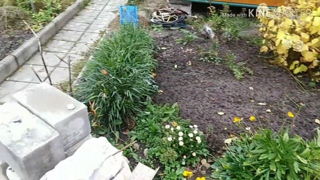 26-2019 СПАСИТЕ КИСУ! _ Elena Pero