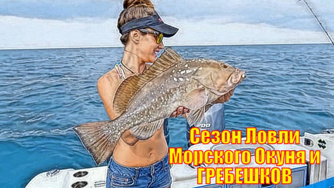 Сезон Ловли Морского Окуня и ГРЕБЕШКОВ во Флориде