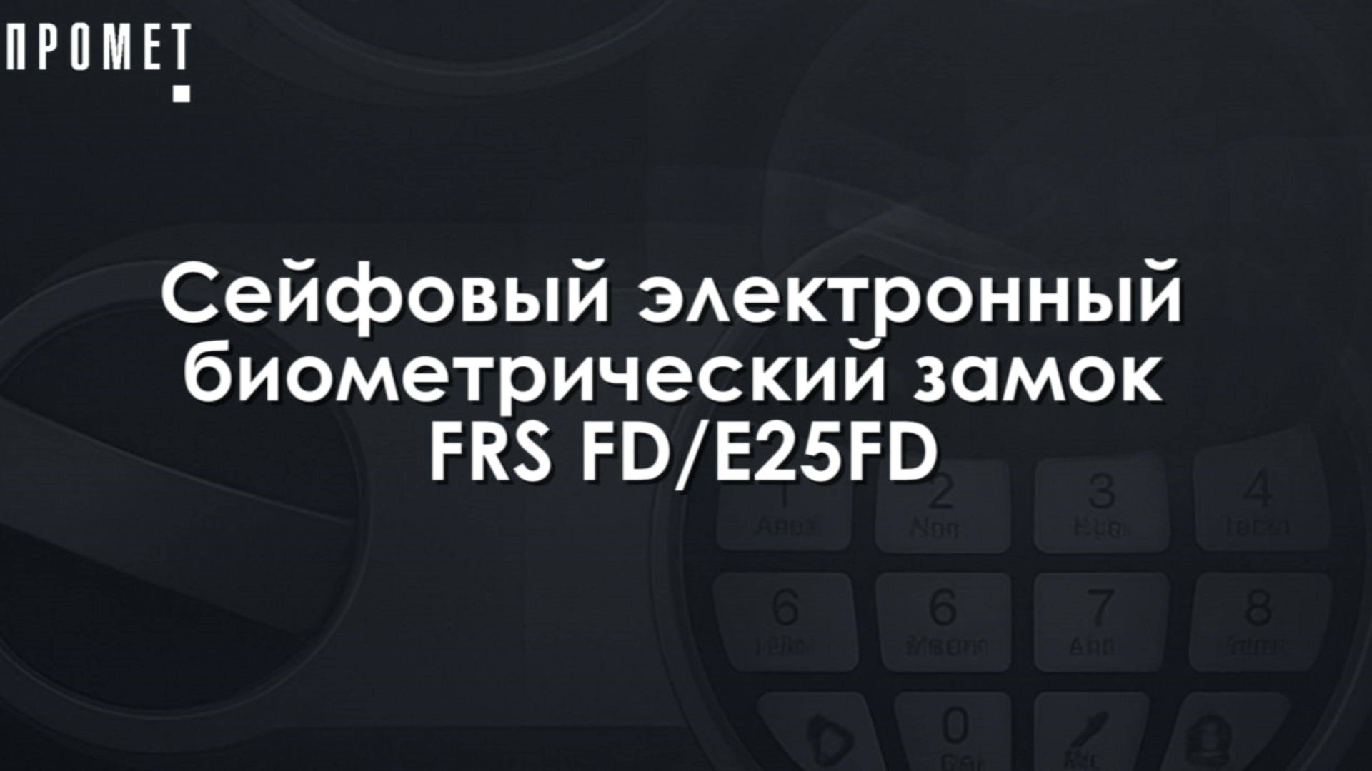 Сейфовый электронный биометрический замок FRS FD/E25FD