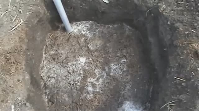 Виноград. Подготовка посадочной ямы