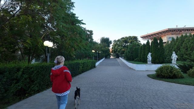 Утренняя прогулка с Ритой-Басей, 1-я часть. 22.08.2025.