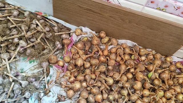 ВЛОГ Занимаюсь домашними делами Варенье из слив