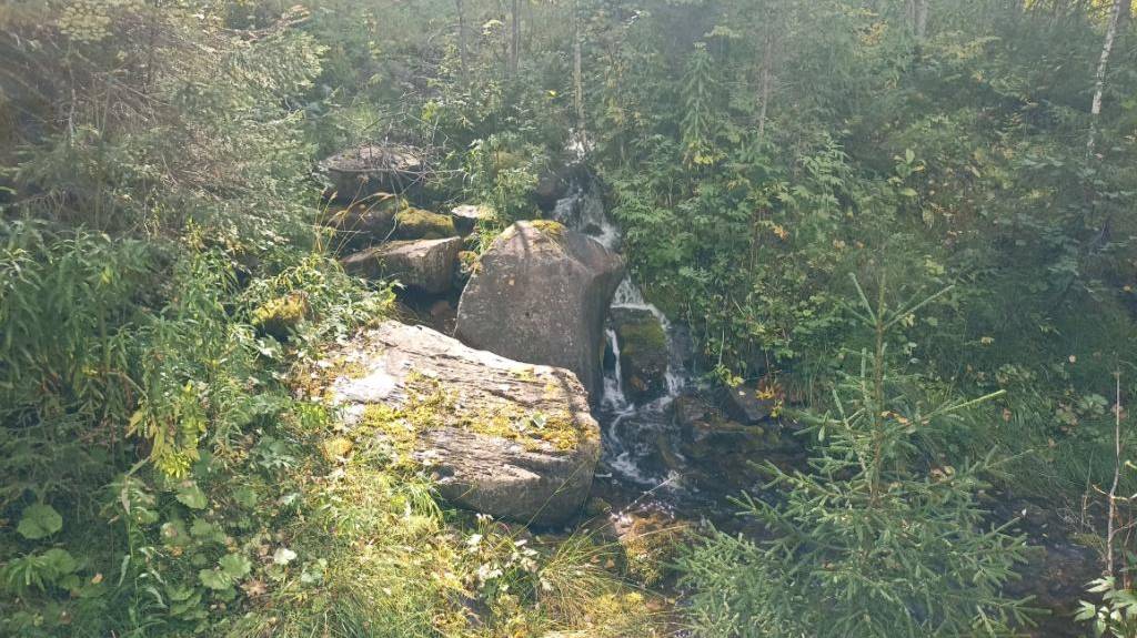 Красиво текущий таежный водопад