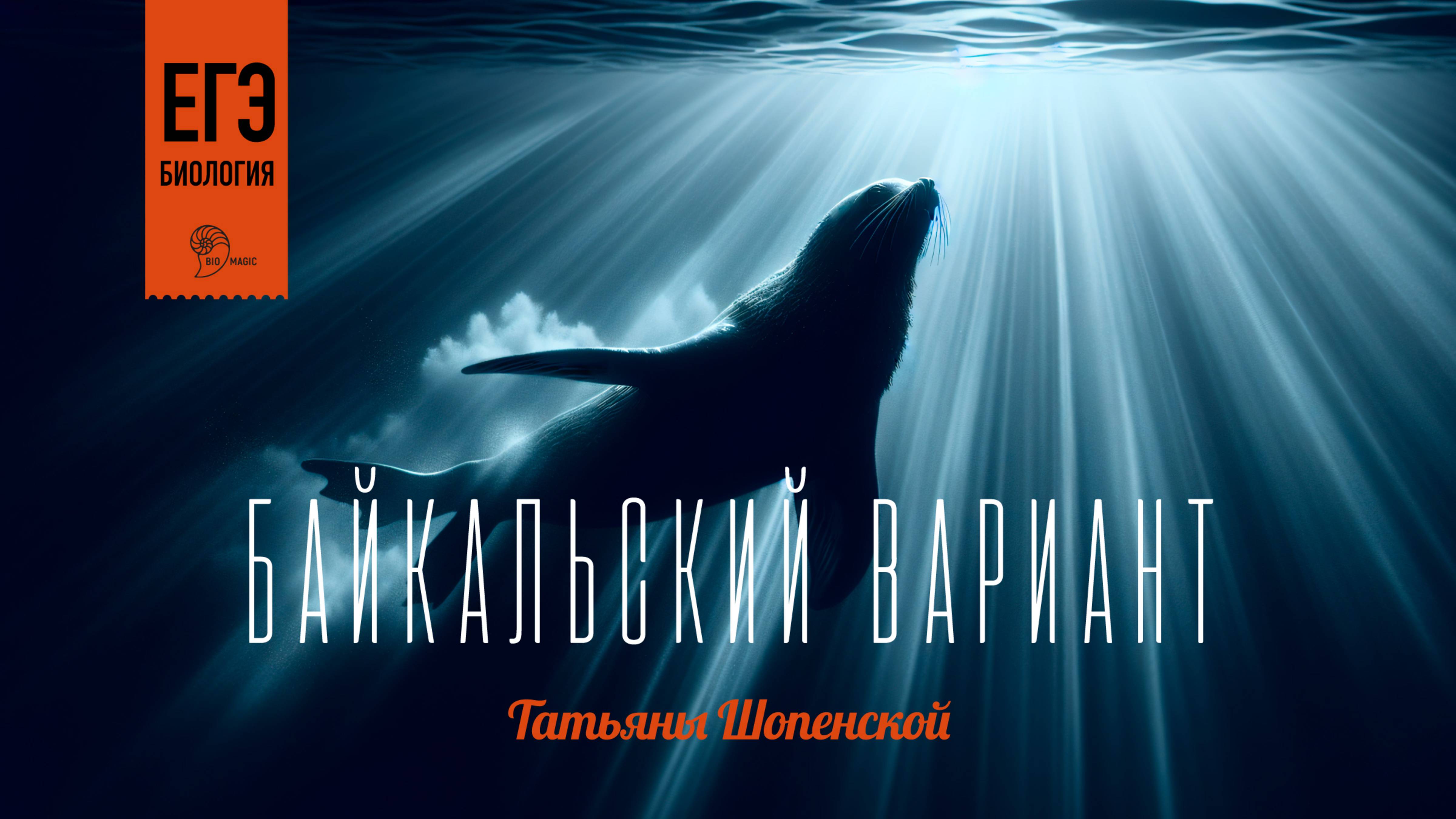 «Бакальский вариант»: запись вебинара | Bio-Magic