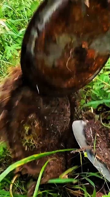 Советский пятак 😅