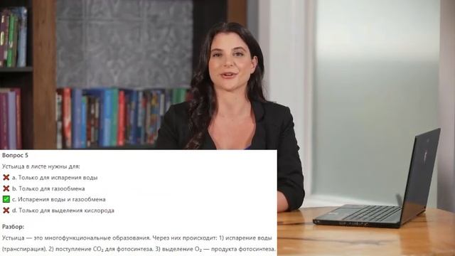 Биология 6 класс. Урок 5. Тест 1. Лист – фабрика фотосинтеза. Подготовка к ВПР, бесплатно.
