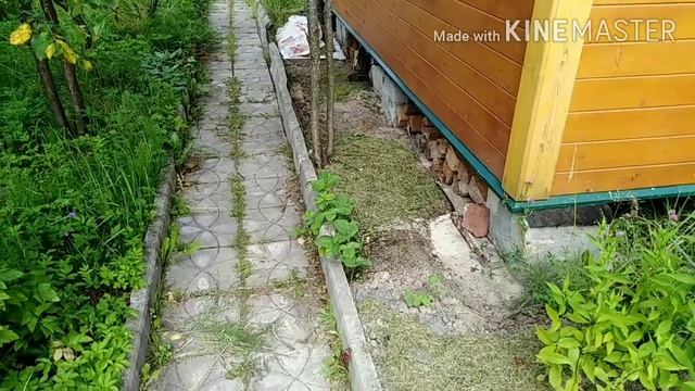 25-2020 Дачный Влог _ Наши ЛИЛИИ _ Много Работы __ Elena Pero