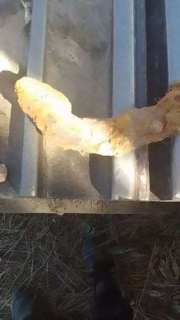 очередное хобби