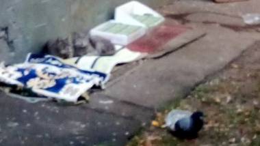 Московская осень, 2025.