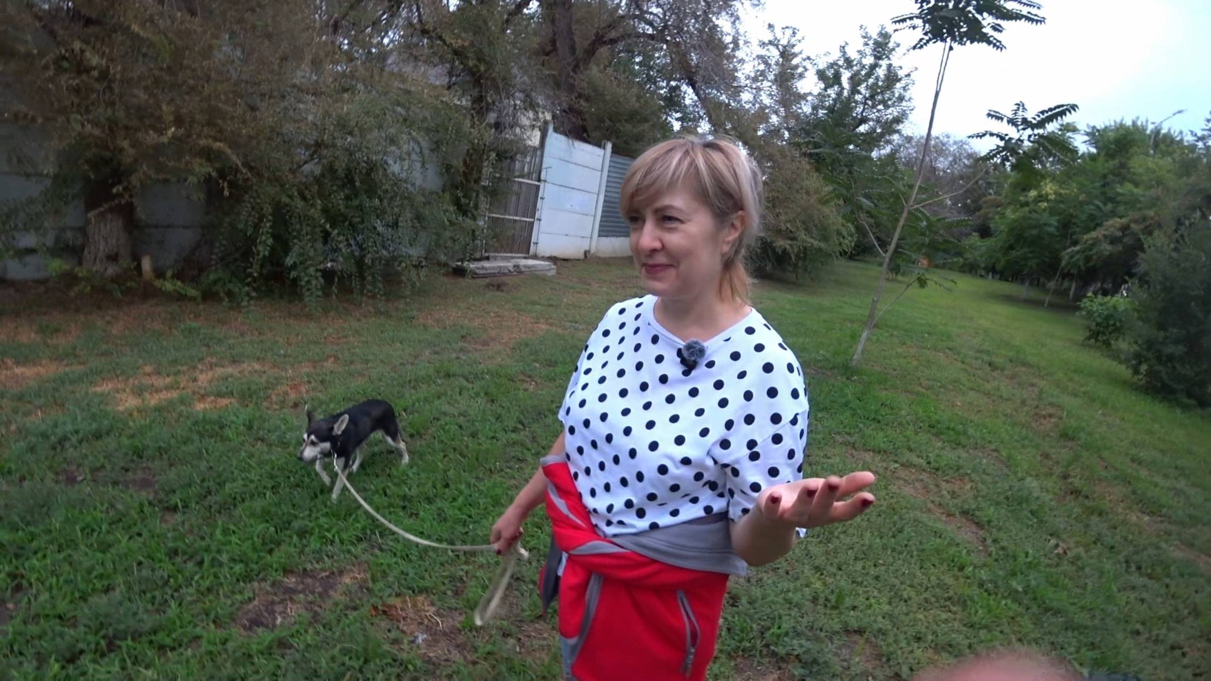 Отрезок из вечерней прогулки с Басей-Ритой. 21.08.2025