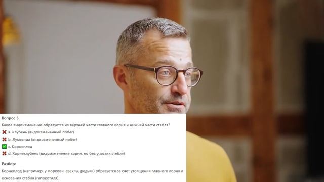 Биология 6 класс. Урок 4. Тест 2. Корень и побег. Подготовка к ВПР, бесплатно. Sdavalka.ru