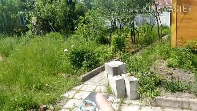 21-2020 ПИОНЫ Цветут _ Очень Жарко _ Едем Домой __ Elena Pero