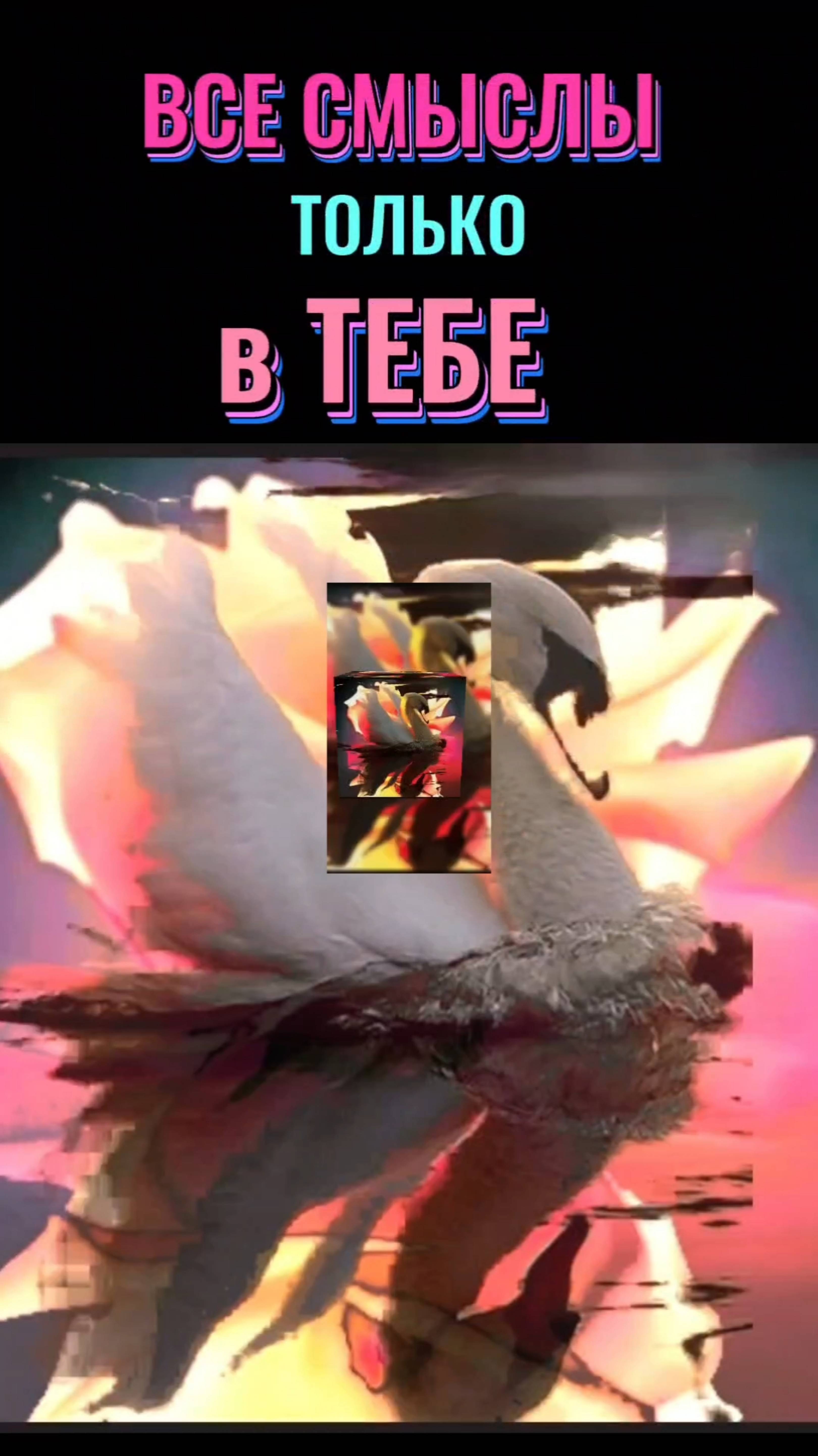 ВСЕ СМЫСЛЫ ТОЛЬКО В ТЕБЕ!