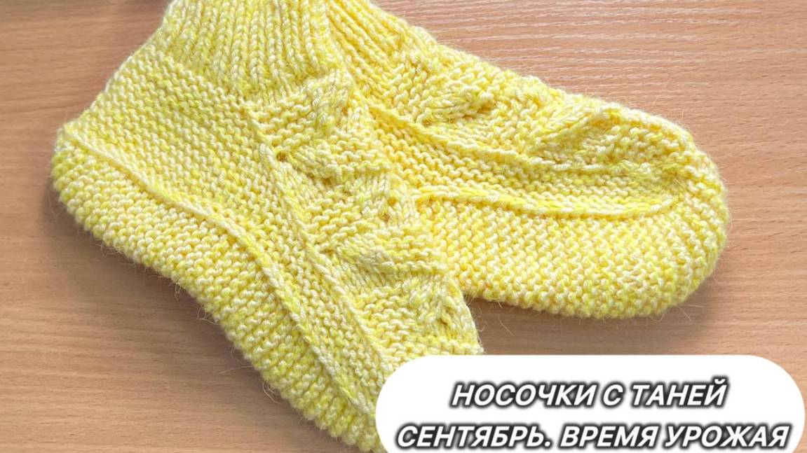 СП "Носочки с Таней" Сентябрь и время урожая