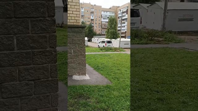 следим за Богданом !