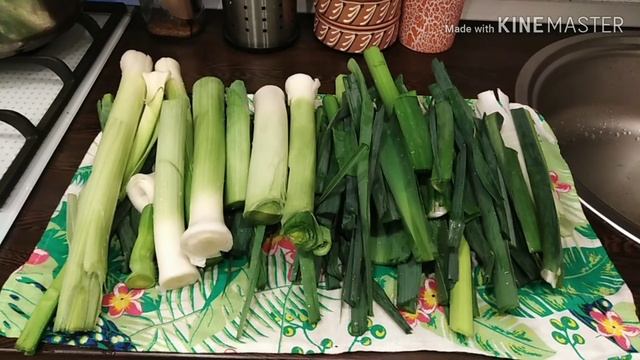 🔴 ЛУК-ПОРЕЙ СУШИМ и МОРОЗИМ/Заготовки  на Зиму/рецепты На глазок/