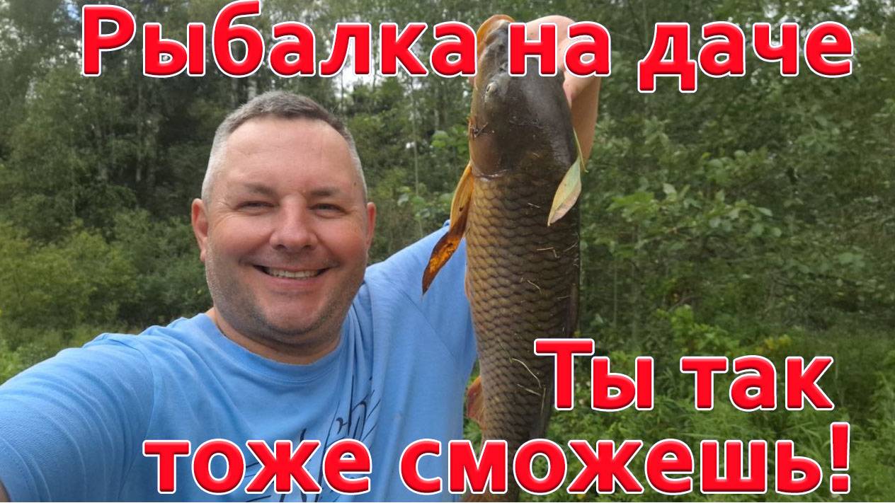 Новости дачного пруда. Август 2025