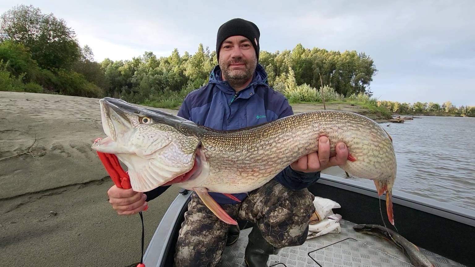 ЛЮТЫЕ КРОКОДИЛЫ НА ОБИ! ТАКОЙ РАЗДАЧИ Я ТОЧНО НЕ ОЖИДАЛ! РЫБАЛКА НА ОБИ!