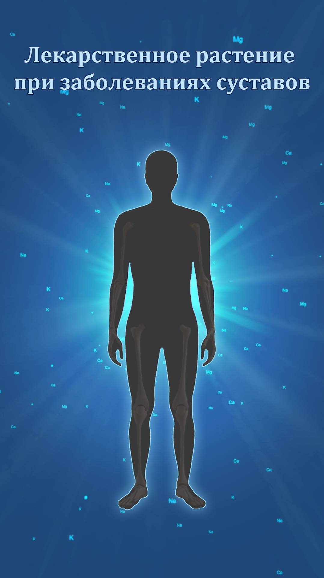 Лекарственные растения при заболеваниях суставов