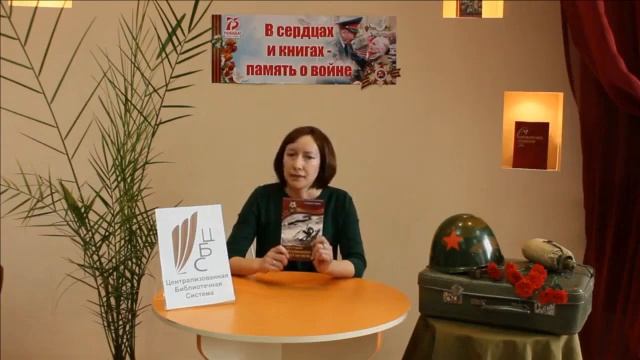 Обзор по книге  "Штурмовики идут на цель"