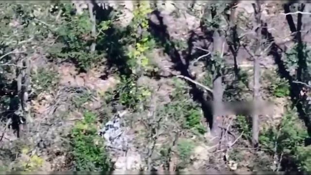 Карлсон, Малыш и Ко... 16 09 25