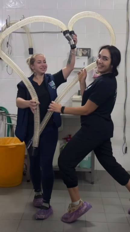 Знакомьтесь: молодые специалисты MAXIMA VET!