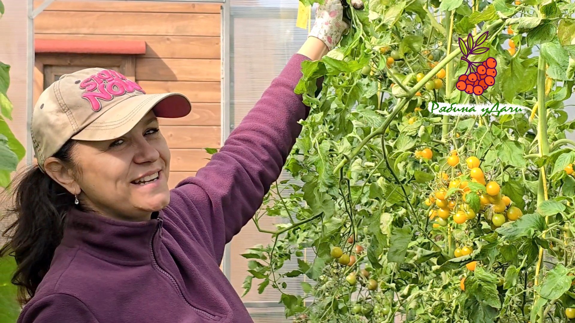 ОСЕННИЕ ХЛОПОТЫ/САДЖ-НОВЫЙ ОПЫТ